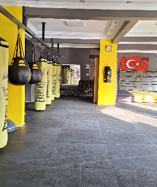 Aras Fight Club Spor Kulübü - Benefit Systems Türkiye