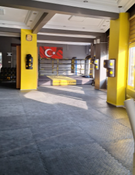 Aras Fight Club Spor Kulübü - Benefit Systems Türkiye